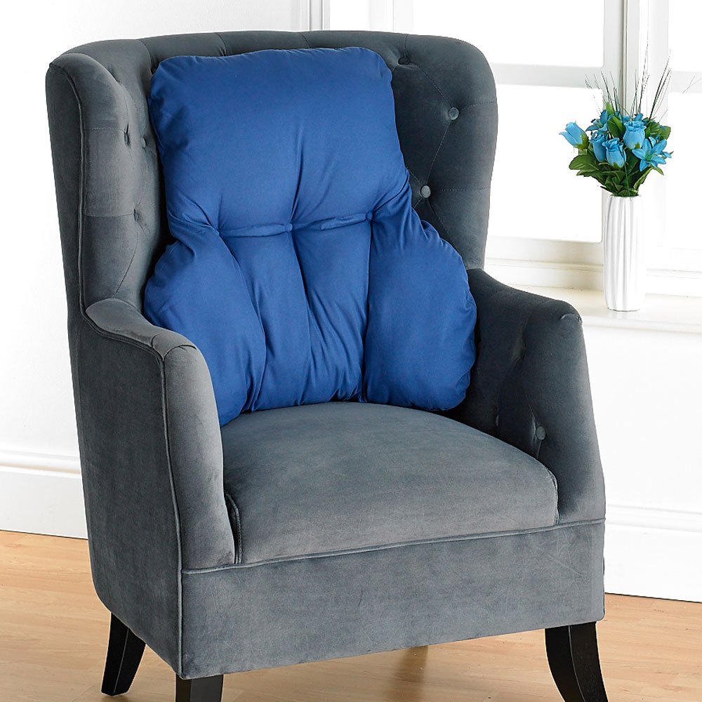 Back Support Cushion | Easylife