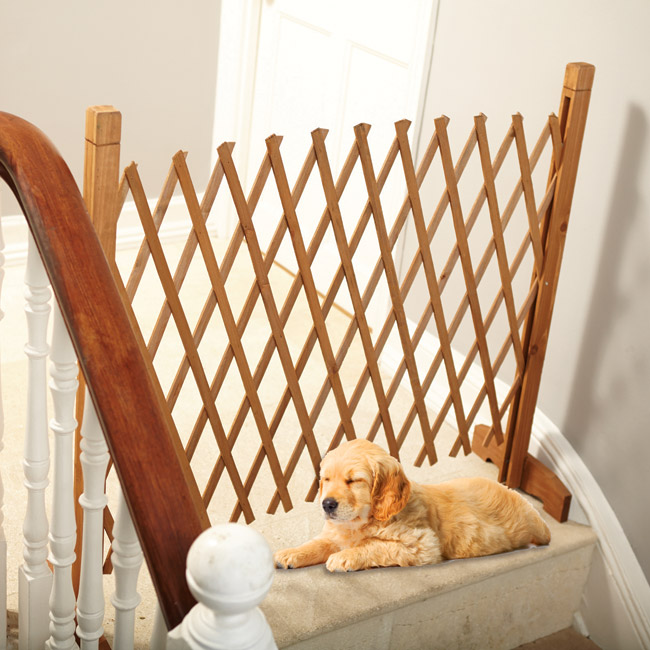 Expanding Fence | Easylife