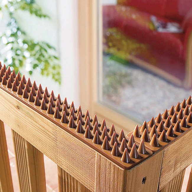 5m Anti-Climb Security Spikes (Pack of 10) | Easylife